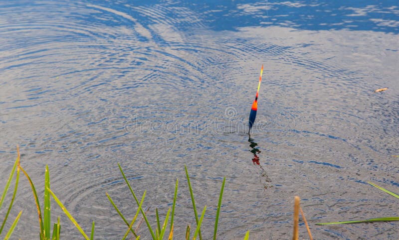 Fisherman Float on the Surface of the Water Stock Image - Image of ...