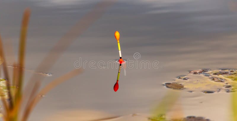 Fisherman Float on the Surface of the Water Stock Photo - Image of pond ...