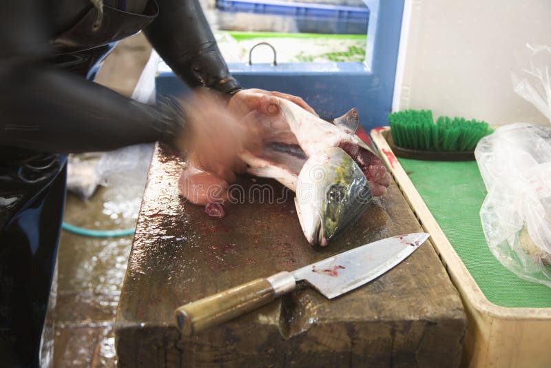 Fisherman Guts a Fish in Japan Stock Photo - Image of cutting, shop ...