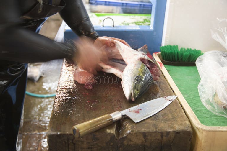 Fisherman Guts a Fish in Japan Stock Photo - Image of cutting, shop ...