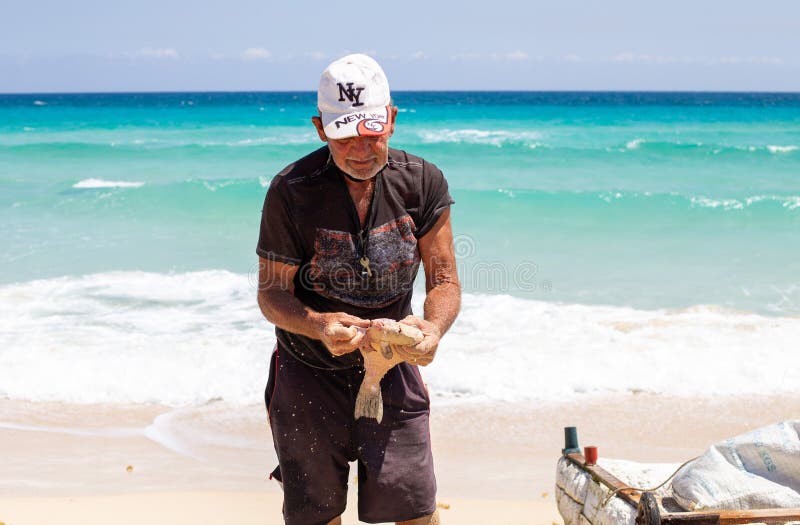 A Fisherman Guts a Freshly Caught Fish on a Cuban Beach 04 28 2022 ...