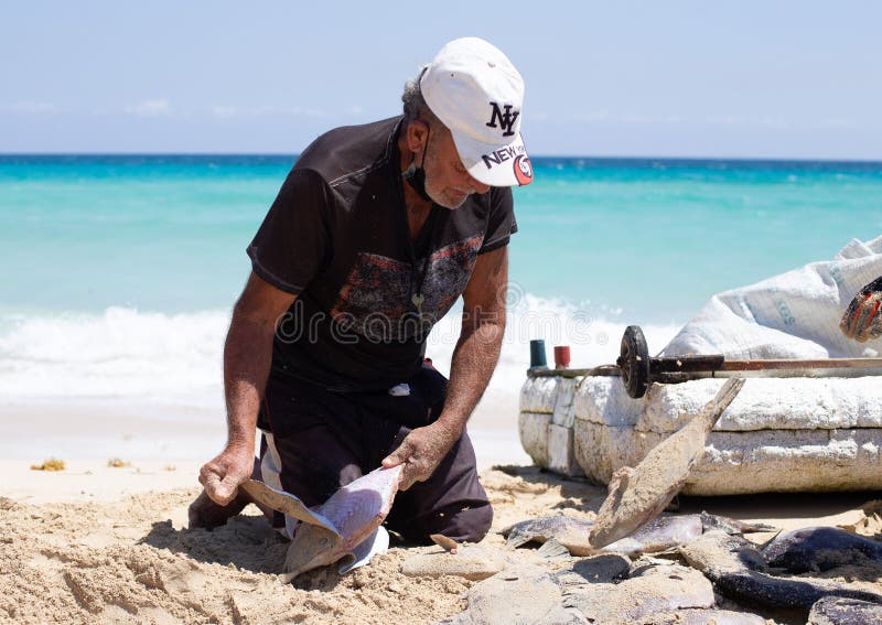 260 Beach Plague Stock Photos - Free & Royalty-Free Stock Photos from ...