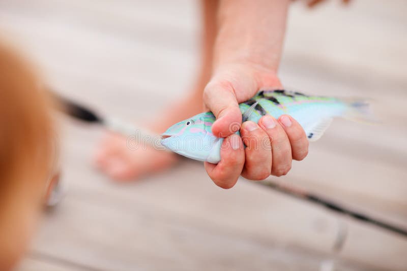 Fisherman holding fish stock photo. Image of macro, fish - 15904578