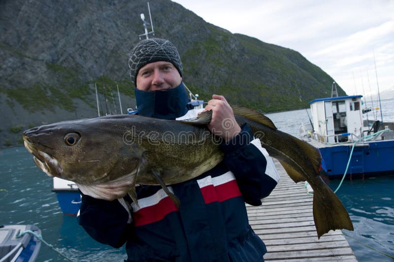 Fisherman and fish hooked stock image. Image of outline - 6146887