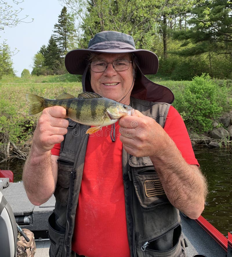 Fisherman Holding a Jumbo Perch Stock Photo - Image of jumbo, happy ...