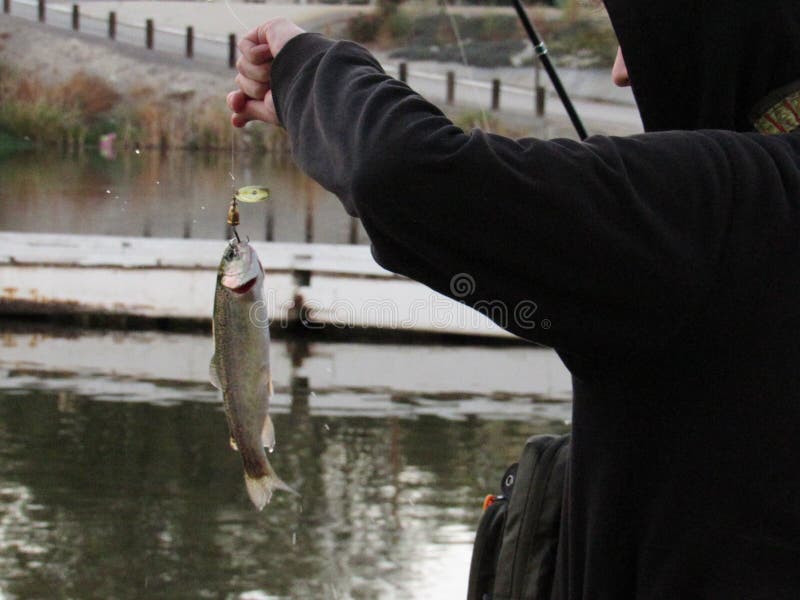 Fishing line in Water stock photo. Image of line, water - 78487750