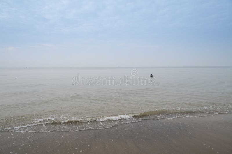 A Fisherman is Looking for Fish on the Beach Using a Net Stock Image ...