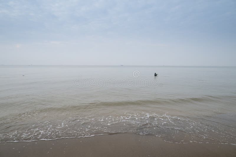A Fisherman is Looking for Fish on the Beach Using a Net Stock Image ...