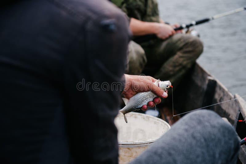 Fisherman Off the Hook Caught Fish Close Up Stock Image - Image of ...