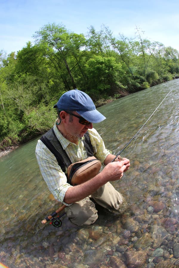 Fisherman Releasing Brown Trout Stock Image - Image of water, fisherman ...