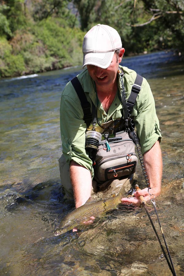 Fisherman Releasing Brown Trout Stock Photo - Image of outside, people ...