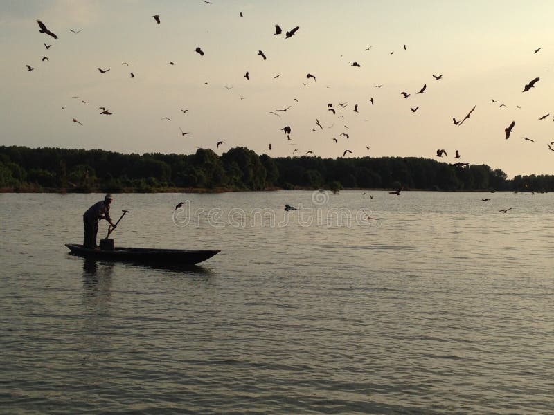 Fisherman editorial stock image. Image of fishing, rowing - 83631499