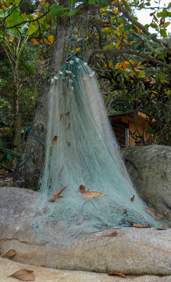 Fisherman& X27;s Net Hangs from a Tree, Serves To Dry. Stock Image ...