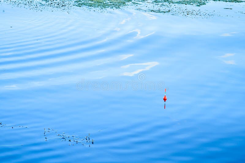 Fisherman`s Red Float from a Fishing Rod on Blue Water Stock Image ...