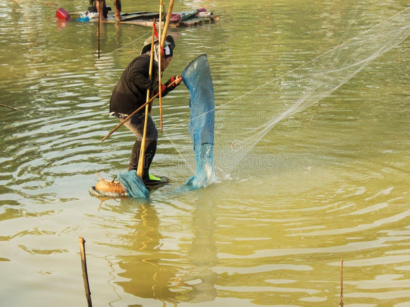 Fisherman Scoops Up Fish from a Net Editorial Image - Image of fisher ...