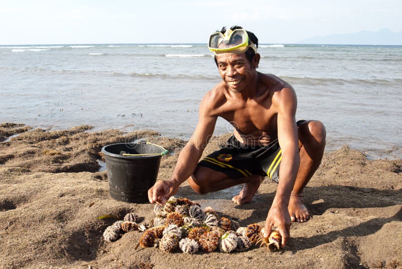 Fisherman with sea urchins editorial stock image. Image of subsistence ...