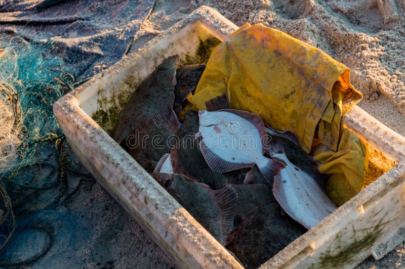 Fisherman Selling Fish Straight from Boat after Morning Catch Stock ...