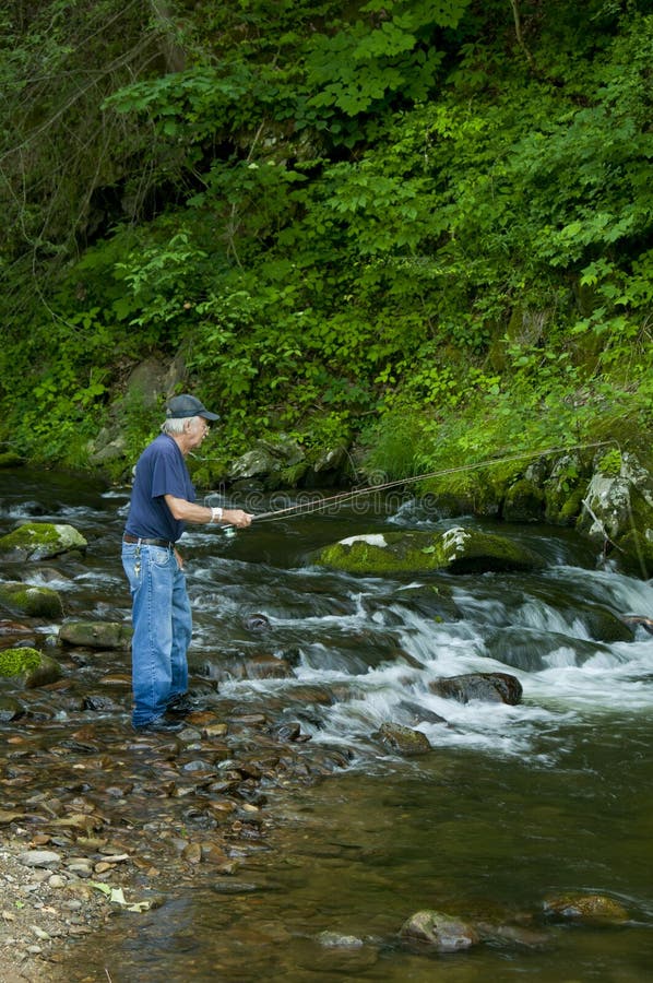 Fisherman in a Small Trout Stream. Stock Image - Image of brown, trout ...