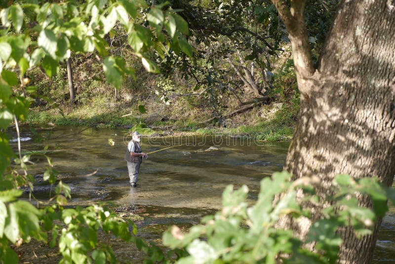 Fisherman and Trout, Underwater View. Stock Image - Image of loach ...