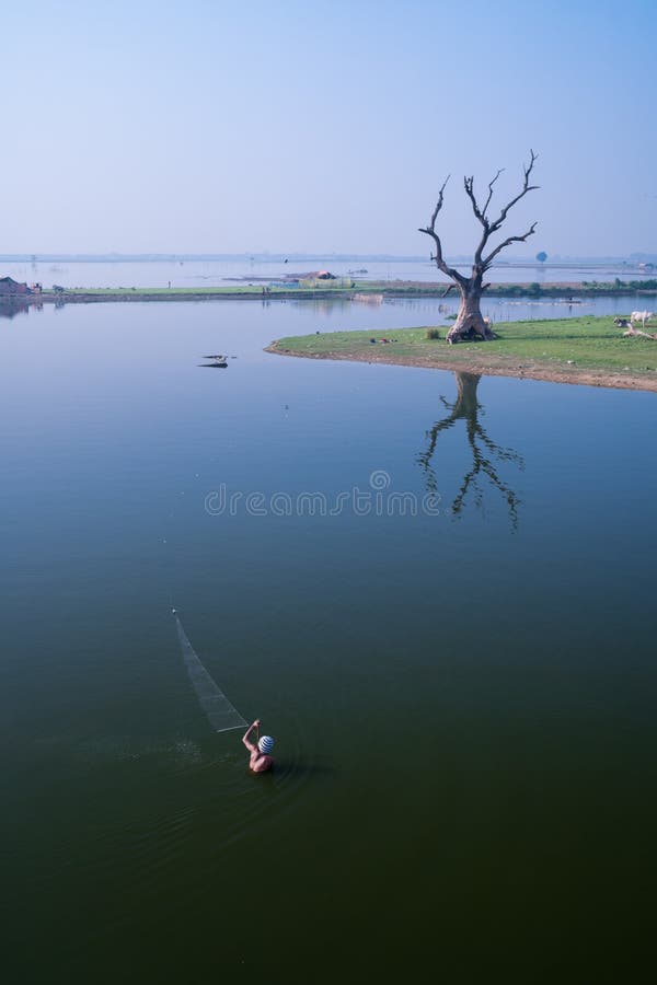 Fisherman Using Net To Catch Fish Stock Image - Image of people ...