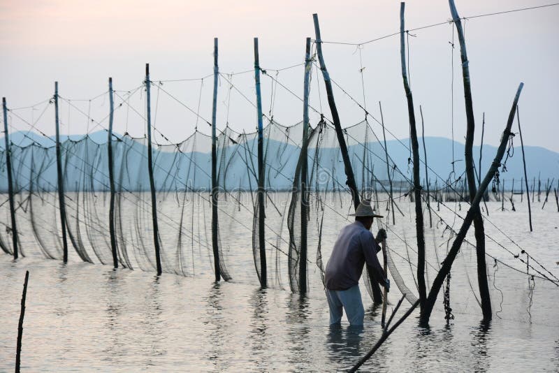 Fisherman work at sea editorial stock image. Image of adult - 43444904