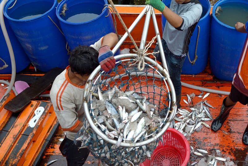 Fisherman Working on the Boat Editorial Stock Photo - Image of work ...