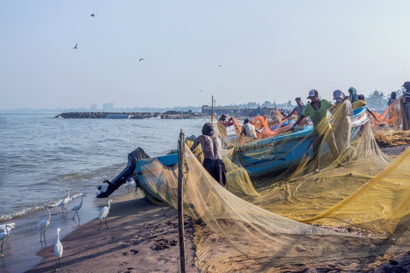 Fisherman Working at Beach Fish Market in Negombo Editorial Image ...