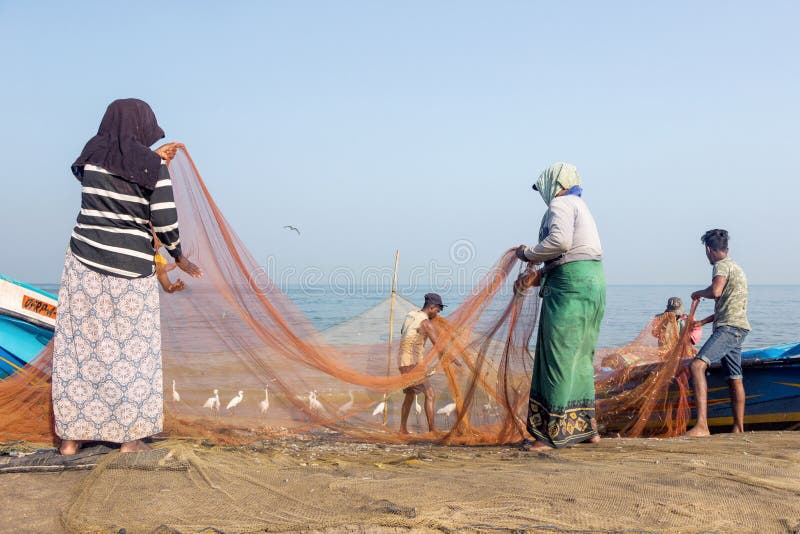 Fisherman Working at Beach Fish Market in Negombo Editorial Photo ...