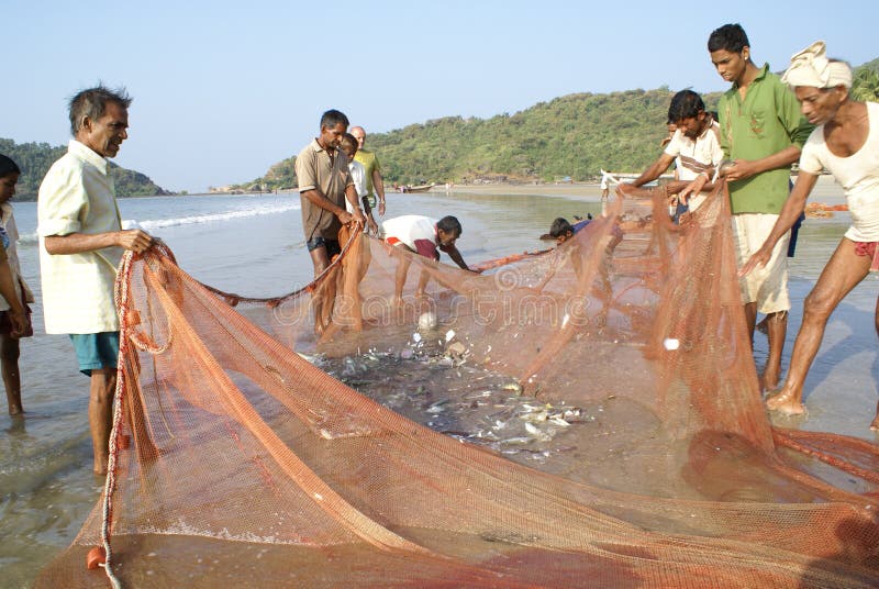 Fishermen Drafting Fishing Net Editorial Image - Image of india ...