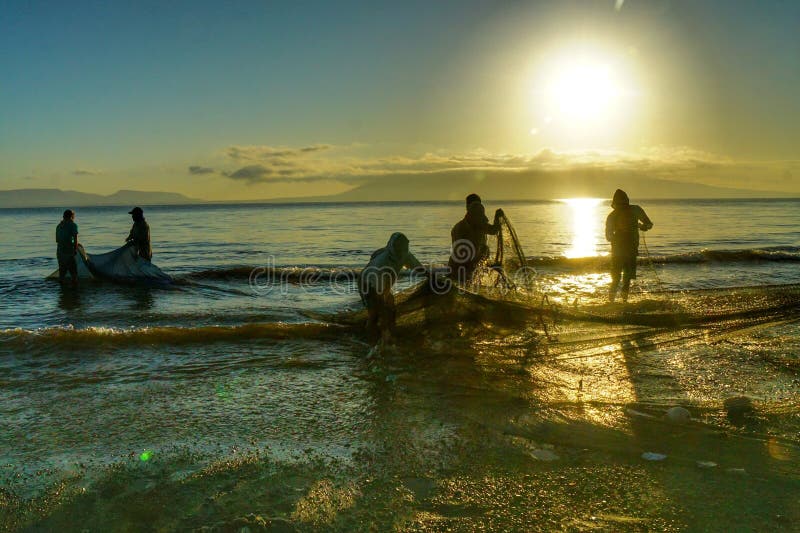 Fishermen Drawing the Fishnet Editorial Photography - Image of ...