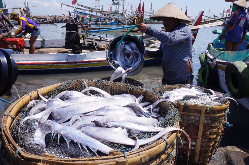 Fishermen editorial stock photo. Image of food, java - 45336973