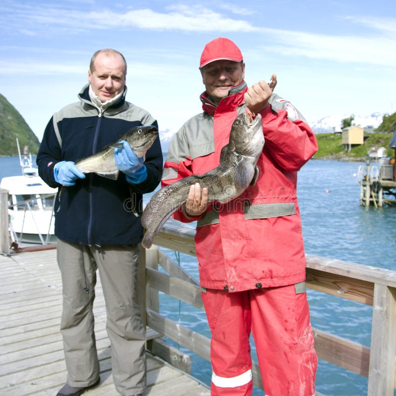 Fisher Holding a Big Atlantic Salmon Fish Stock Image - Image of ...