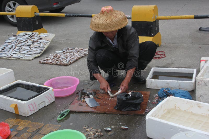 Killing fish stock image. Image of killing, farming, carp - 64222419