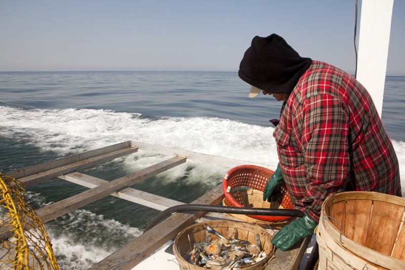 Fishermen at sea editorial stock photo. Image of fishing - 42971258