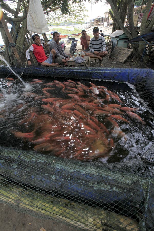Fishermen editorial photography. Image of java, fish - 38976217