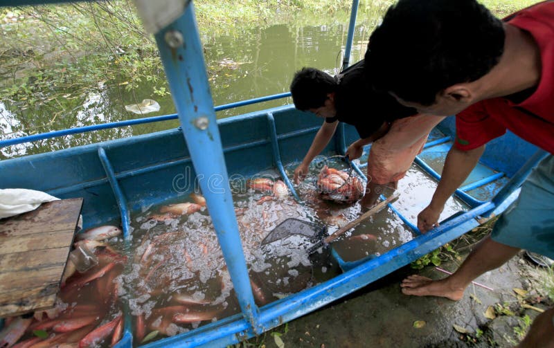 Fishermen editorial stock image. Image of central, animal - 38976299