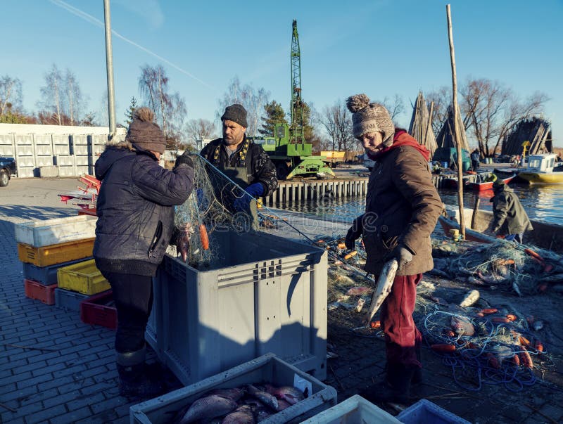 Fishermen at Work editorial image. Image of harbor, baltic - 216642190