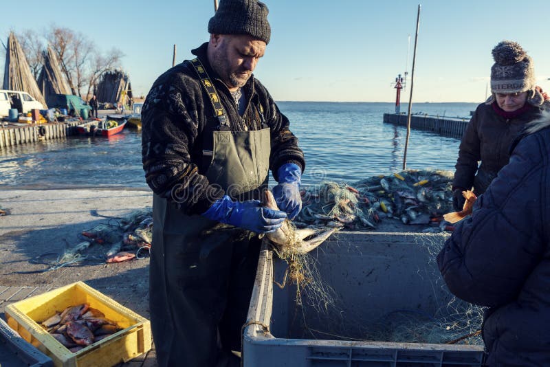 Fishermen at Work editorial image. Image of fisherman - 219805890