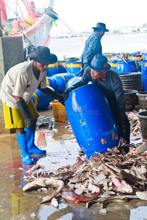 Fishermen Working in Harbor Editorial Stock Image - Image of boat, fish ...