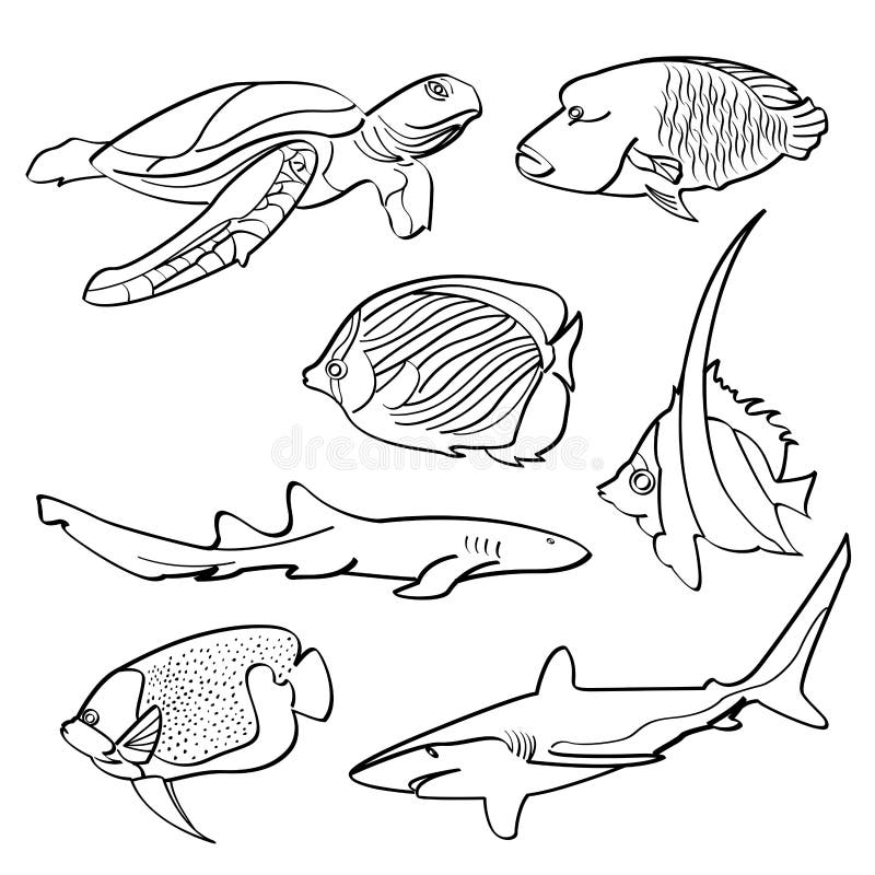 Fishes Collection stock illustration. Illustration of lake - 51051889 Fishes Collection stock illustration. Illustration of lake - 51051889