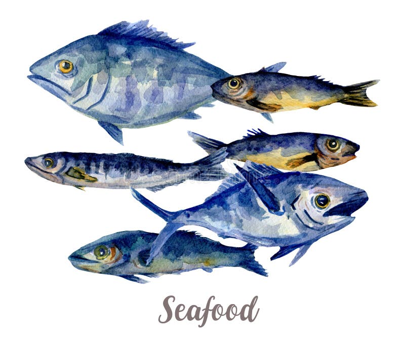 Fishes Illustration. Hand Drawn Watercolor on White Background. Stock ...