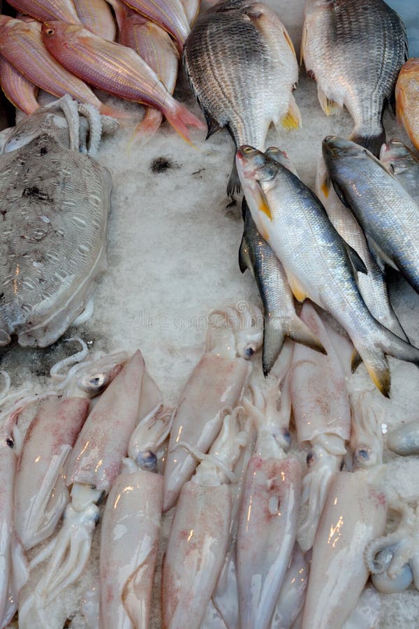 Fishes Keeping Fresh on Ice Stock Photo - Image of sell, food: 62074234