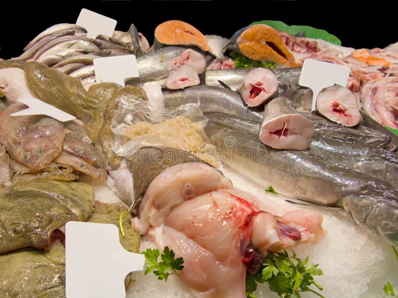 Fishes in market stock image. Image of provisions, freshness - 10923383
