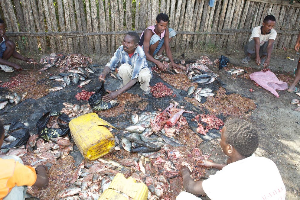 Fishes at the Open Fish Market Editorial Photography - Image of fish ...