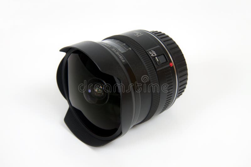 Fisheye lens funny horse stock photo. Image of mammal - 3209600