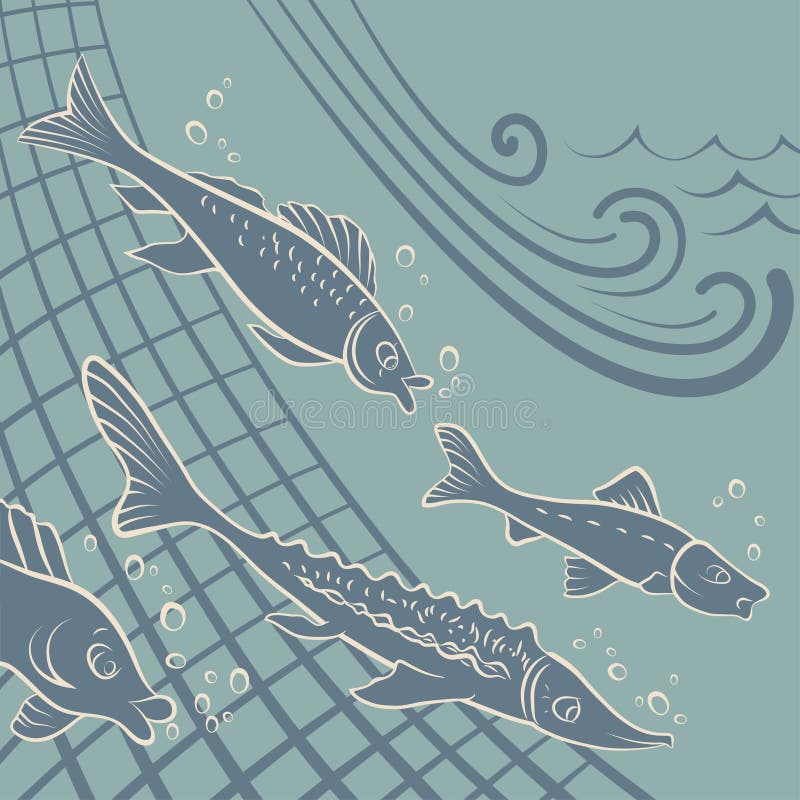 Fish Escaping from a Shark Vector Illustration Stock Vector ...