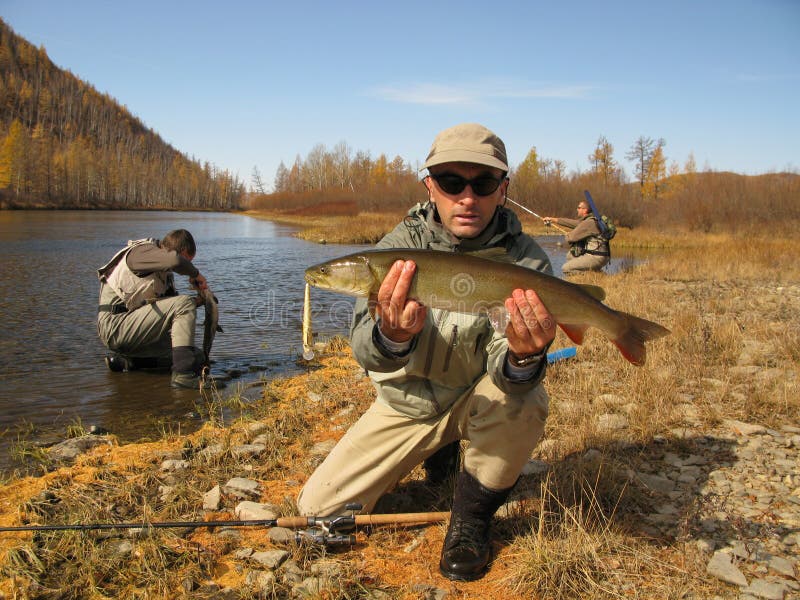 Sailfish Saltwater Sport Fishing Jumping Stock Image - Image of ...