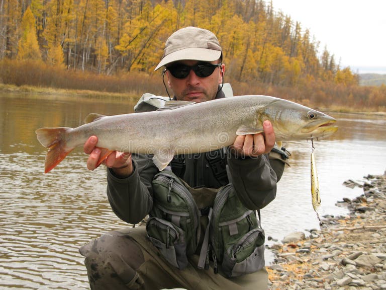 Fishing stock image. Image of hook, angling, reel, rest - 21827939