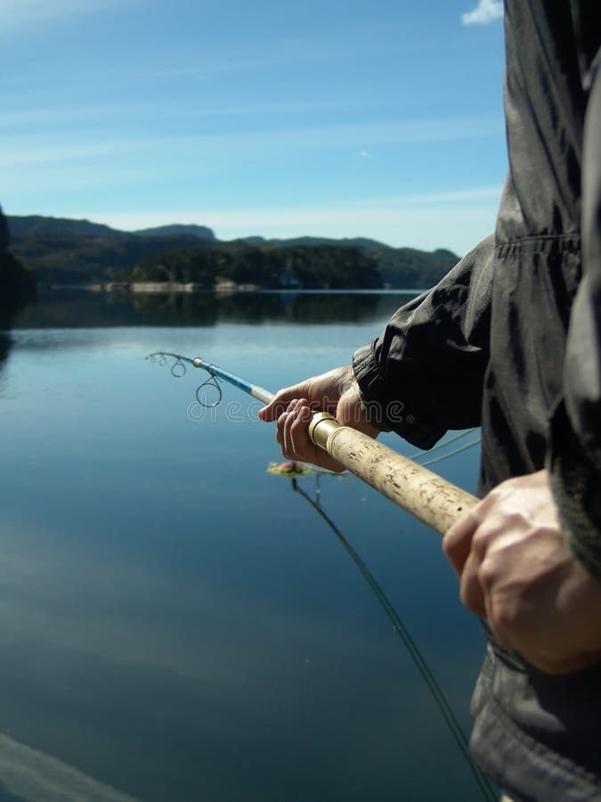 Fishing stock image. Image of capture, fishing, catch, quiet - 370115