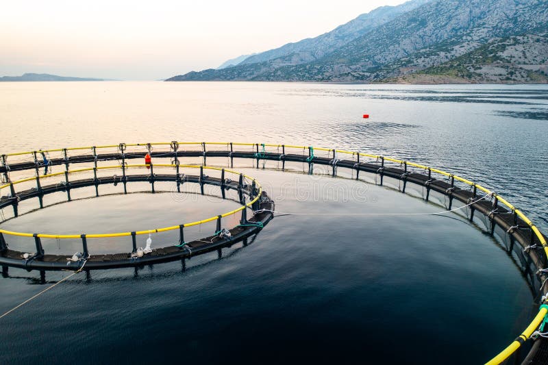 Fishing Activity in a Circular Fish Farm Surrounded by Mountains Near ...